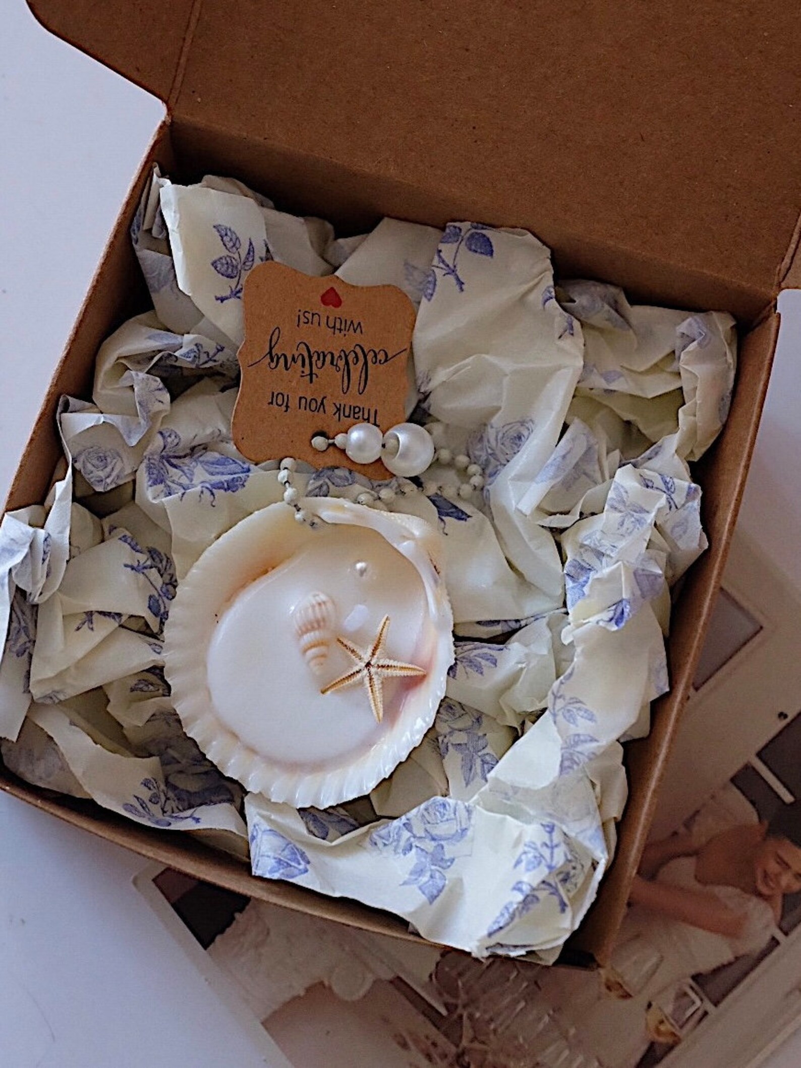 SEA SHELL Key Chains, Natural Seashell, Ocean Gift, Ocean Accessory ...