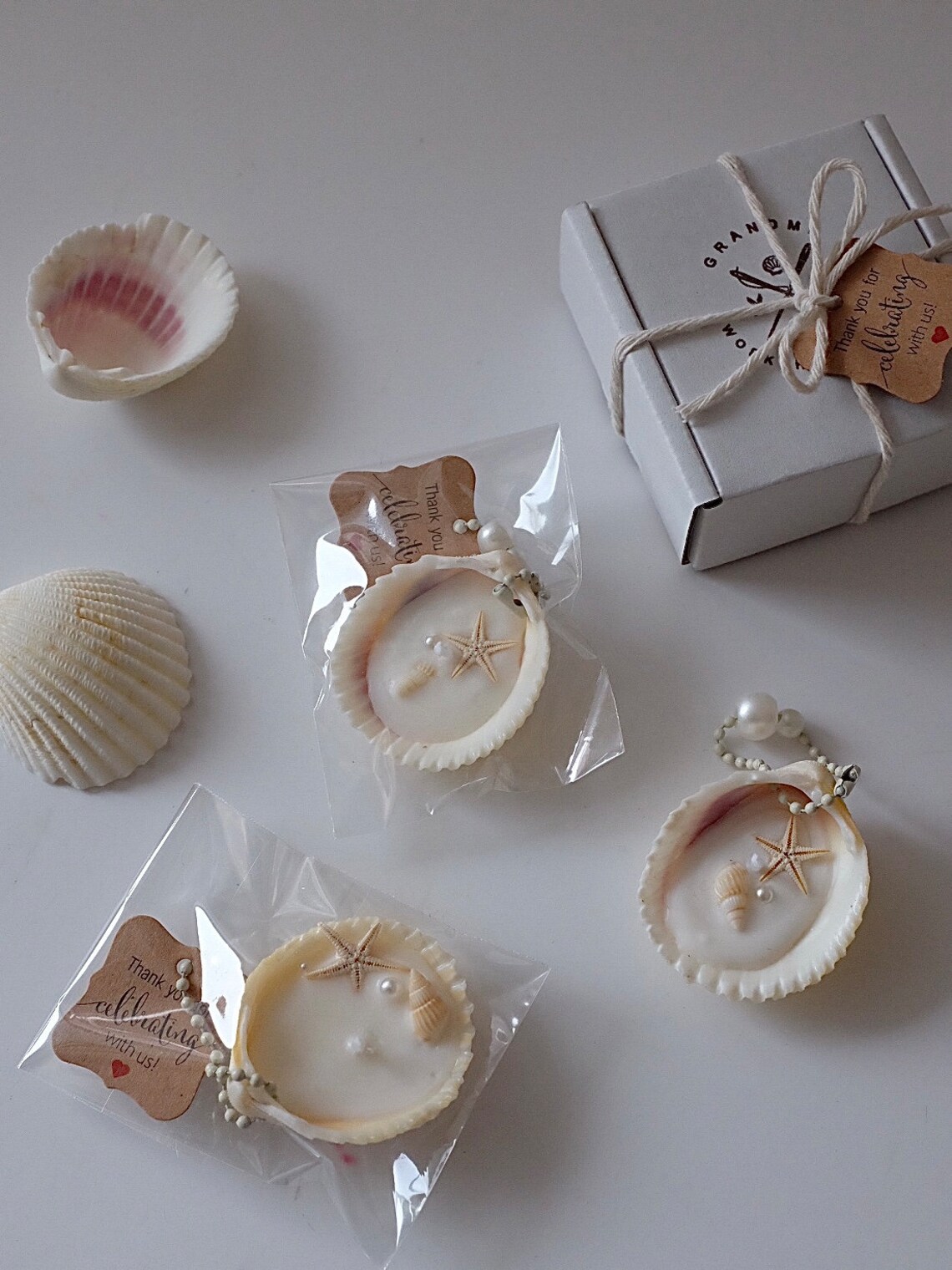 SEA SHELL Key Chains, Natural Seashell, Ocean Gift, Ocean Accessory ...