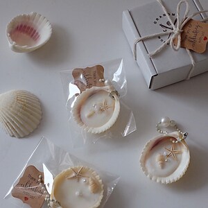 SEA SHELL Key Chains, Natural Seashell, Ocean Gift, Ocean Accessory ...