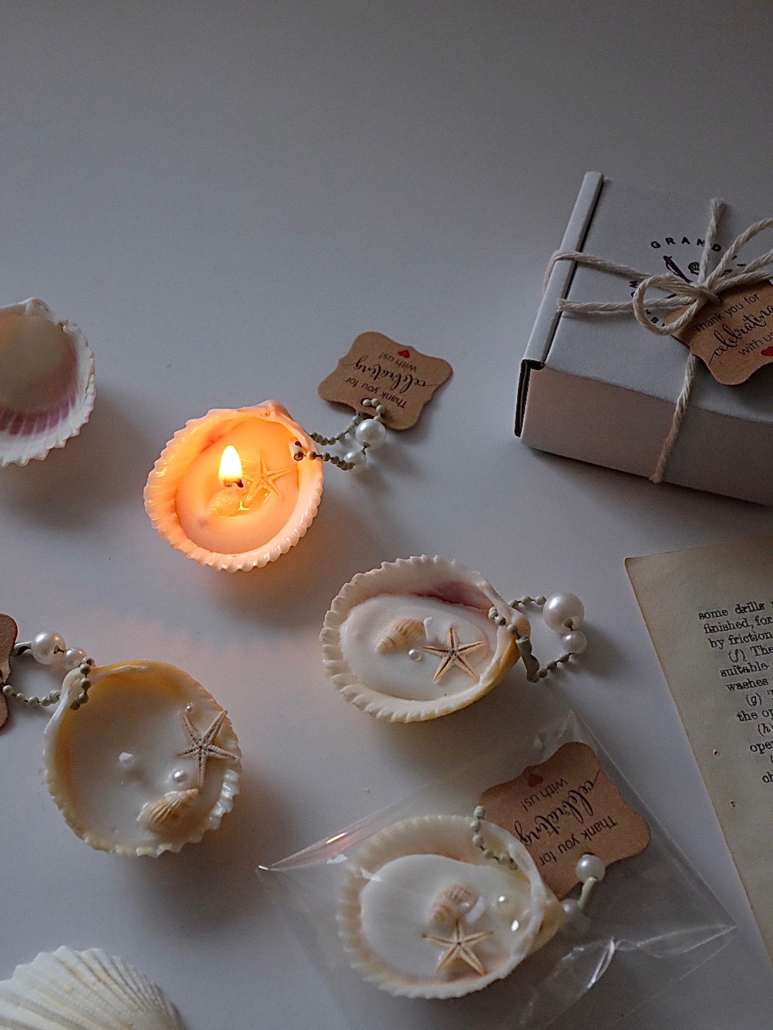 SEA SHELL Key Chains, Natural Seashell, Ocean Gift, Ocean Accessory ...