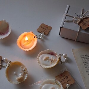 SEA SHELL Key Chains, Natural Seashell, Ocean Gift, Ocean Accessory ...