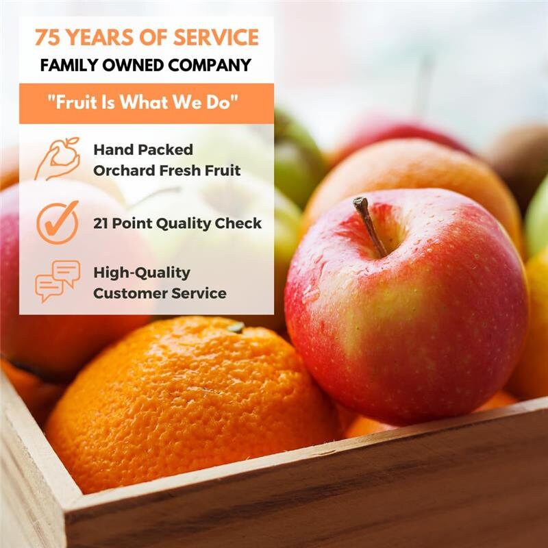 Fresh Orange Pack - 18 Pieces - Etsy