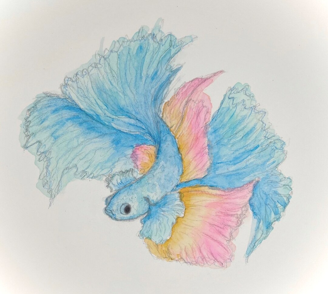 Ocean Sunset Bubble Betta Fish Original Art Watercolor Painting Home ...