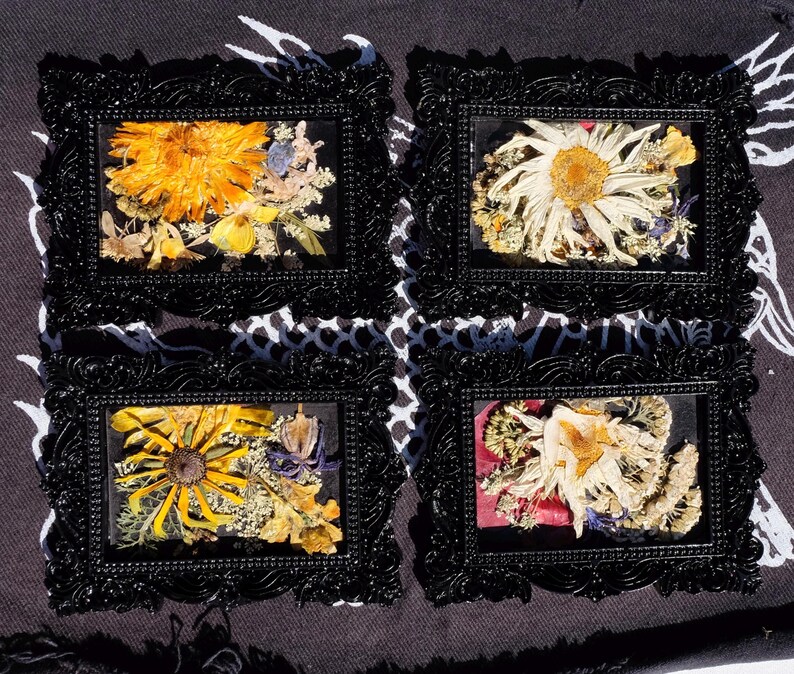 Dried Flower Collage in Handcrafted Resin Frame: Mini Botanical Art - Etsy