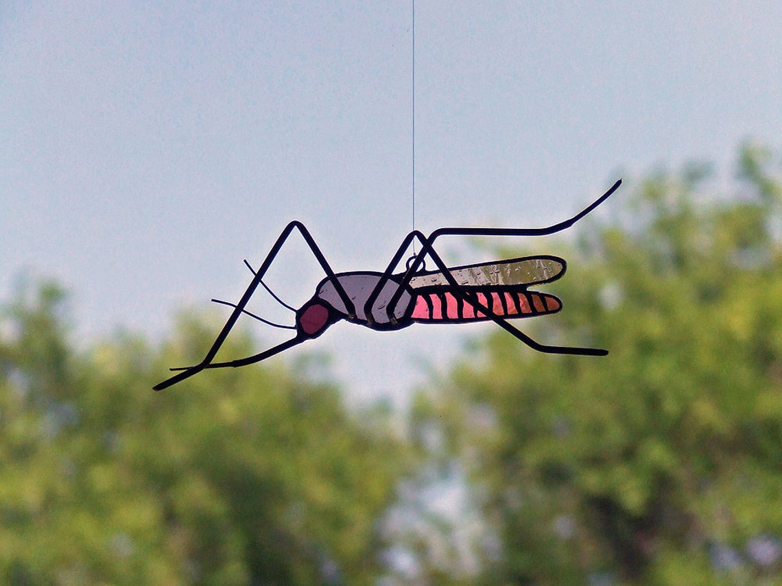 Stained Glass Insect - Antique Glass Mosquito - Unique Entomologist ...