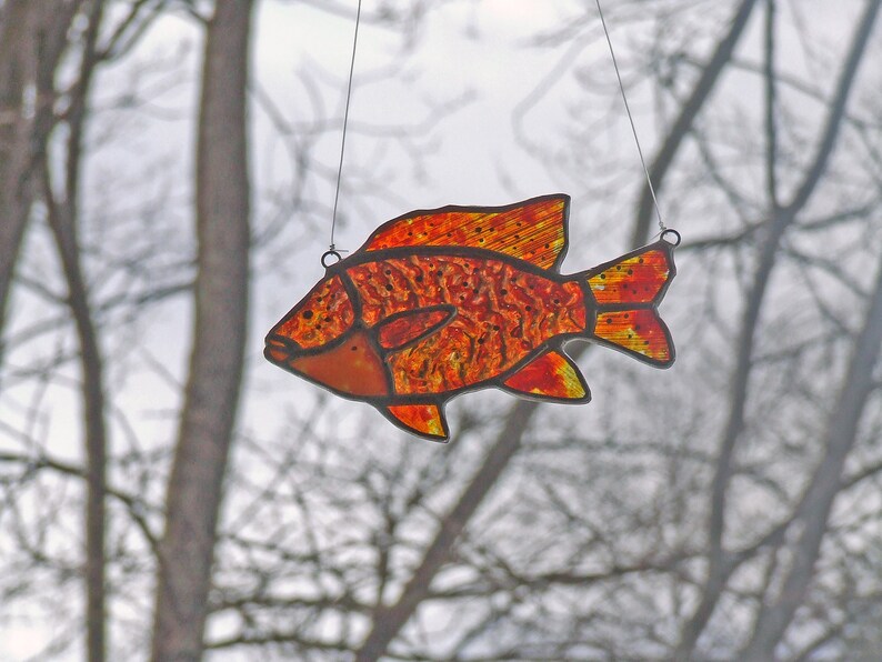 Stained Glass Garibaldi Fish Sun Catcher California State Fish Catalina ...