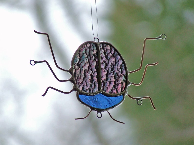 Blue Headed Kokomo Bluish Purplish/pinkish Amber Beetle Bug - Etsy