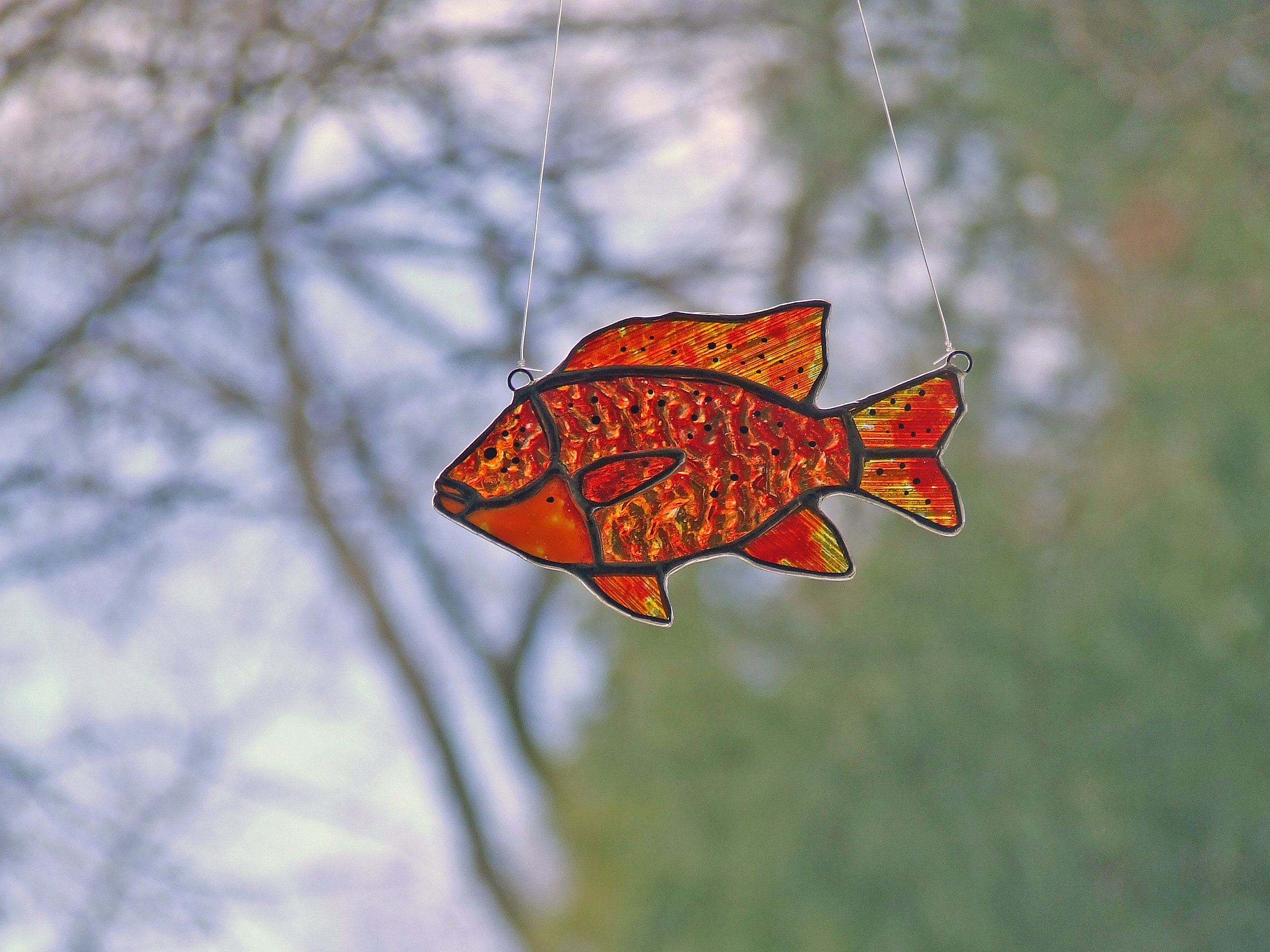 Stained Glass Garibaldi Fish Sun Catcher California State Fish Catalina ...
