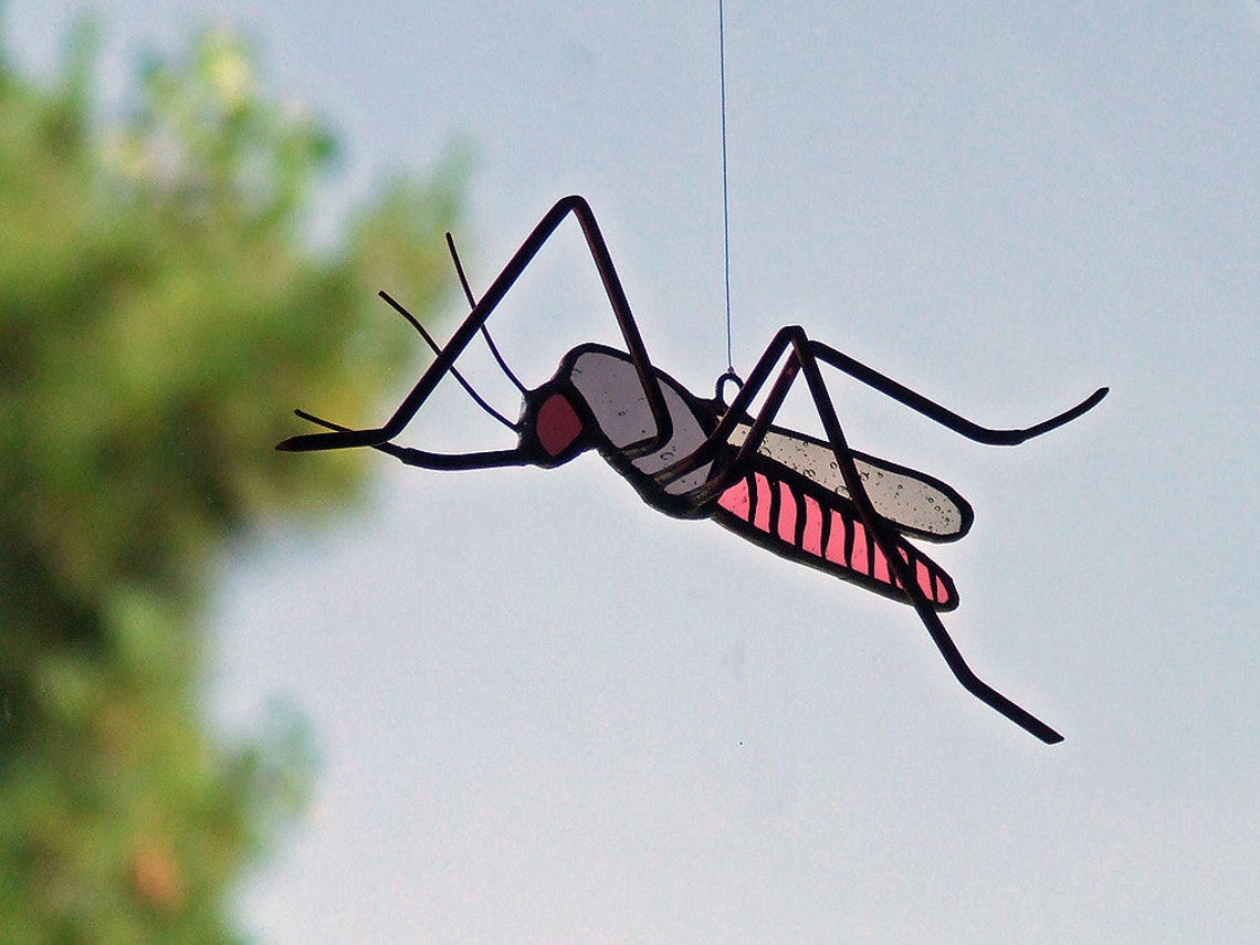 Stained Glass Insect - Antique Glass Mosquito - Unique Entomologist ...