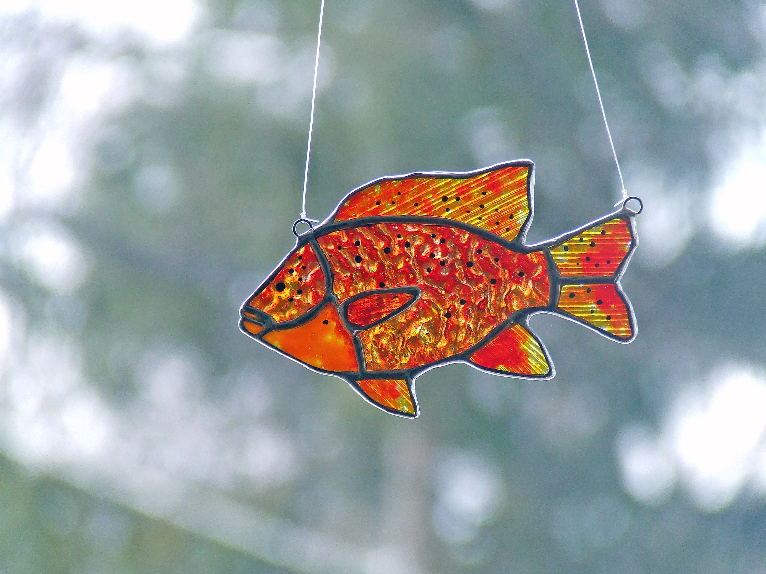 Stained Glass Garibaldi Fish Sun Catcher California State Fish Catalina ...