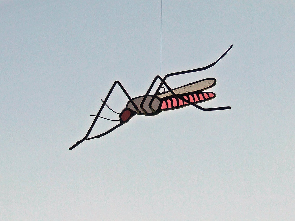 Stained Glass Insect - Antique Glass Mosquito - Unique Entomologist ...