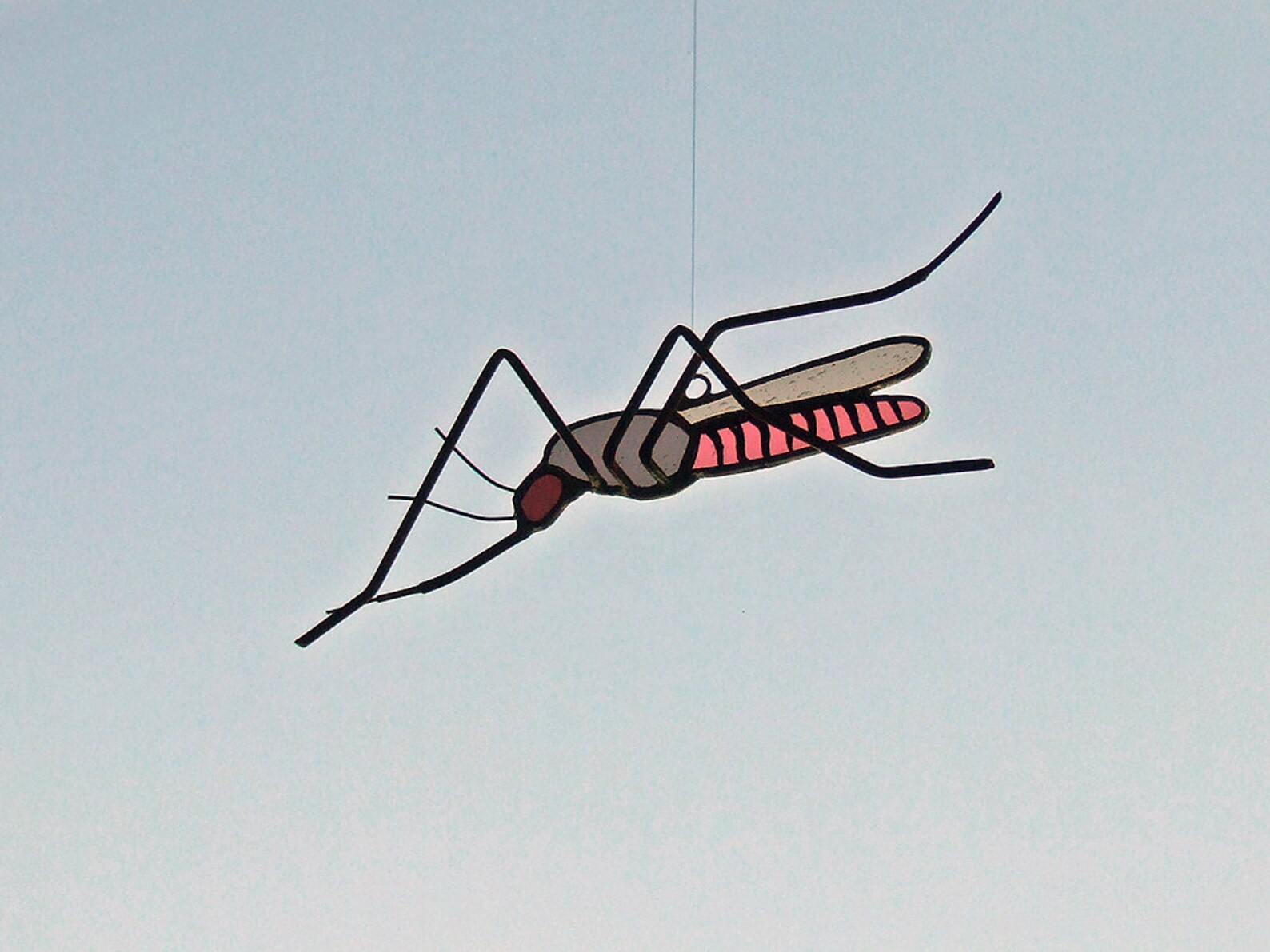 Stained Glass Insect - Antique Glass Mosquito - Unique Entomologist ...