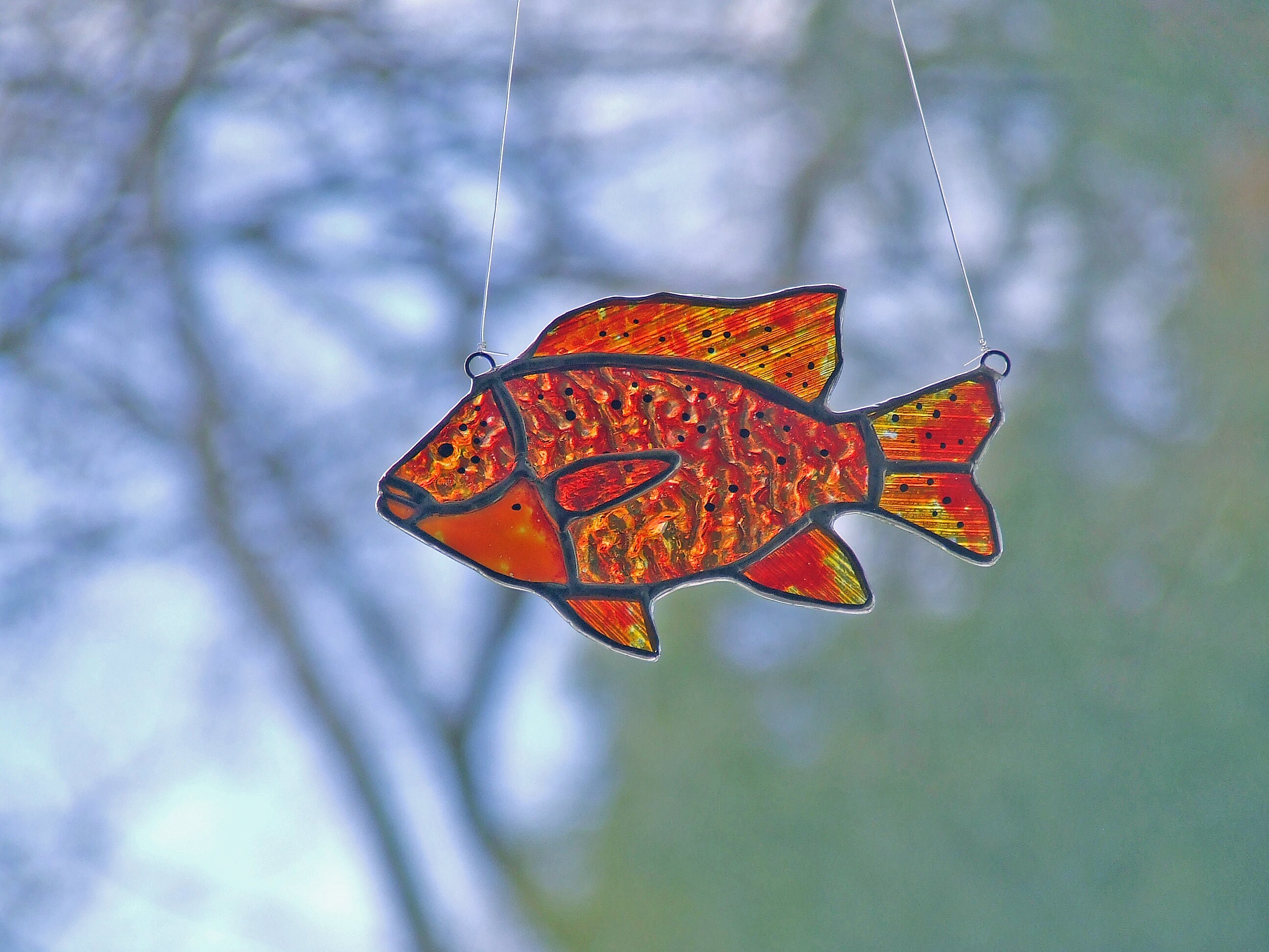 Stained Glass Garibaldi Fish Sun Catcher California State Fish Catalina ...