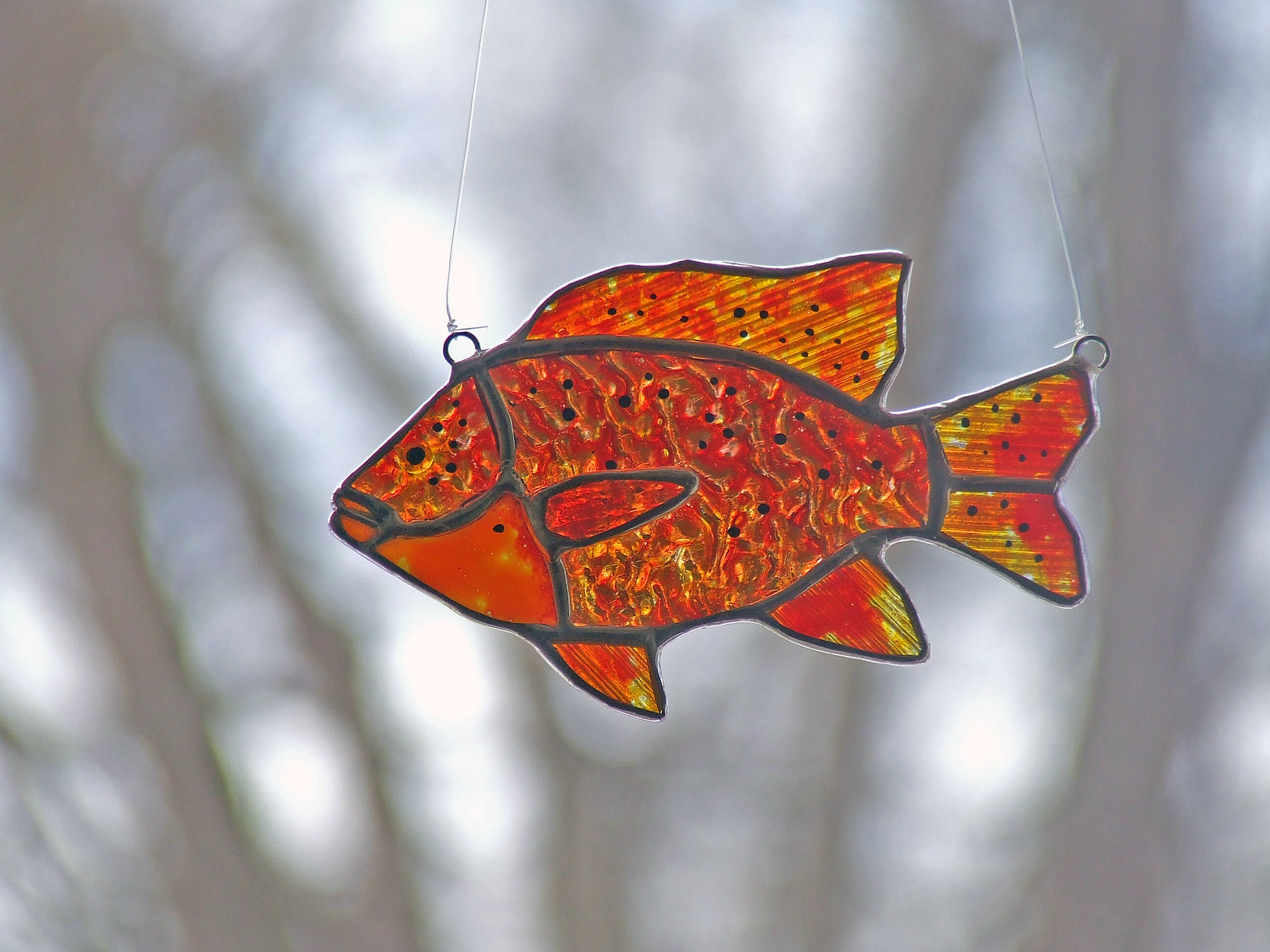 Stained Glass Garibaldi Fish Sun Catcher California State Fish Catalina ...