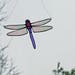 Stained Glass Purple Skimmer Sun Catcher Glass Libellula - Etsy