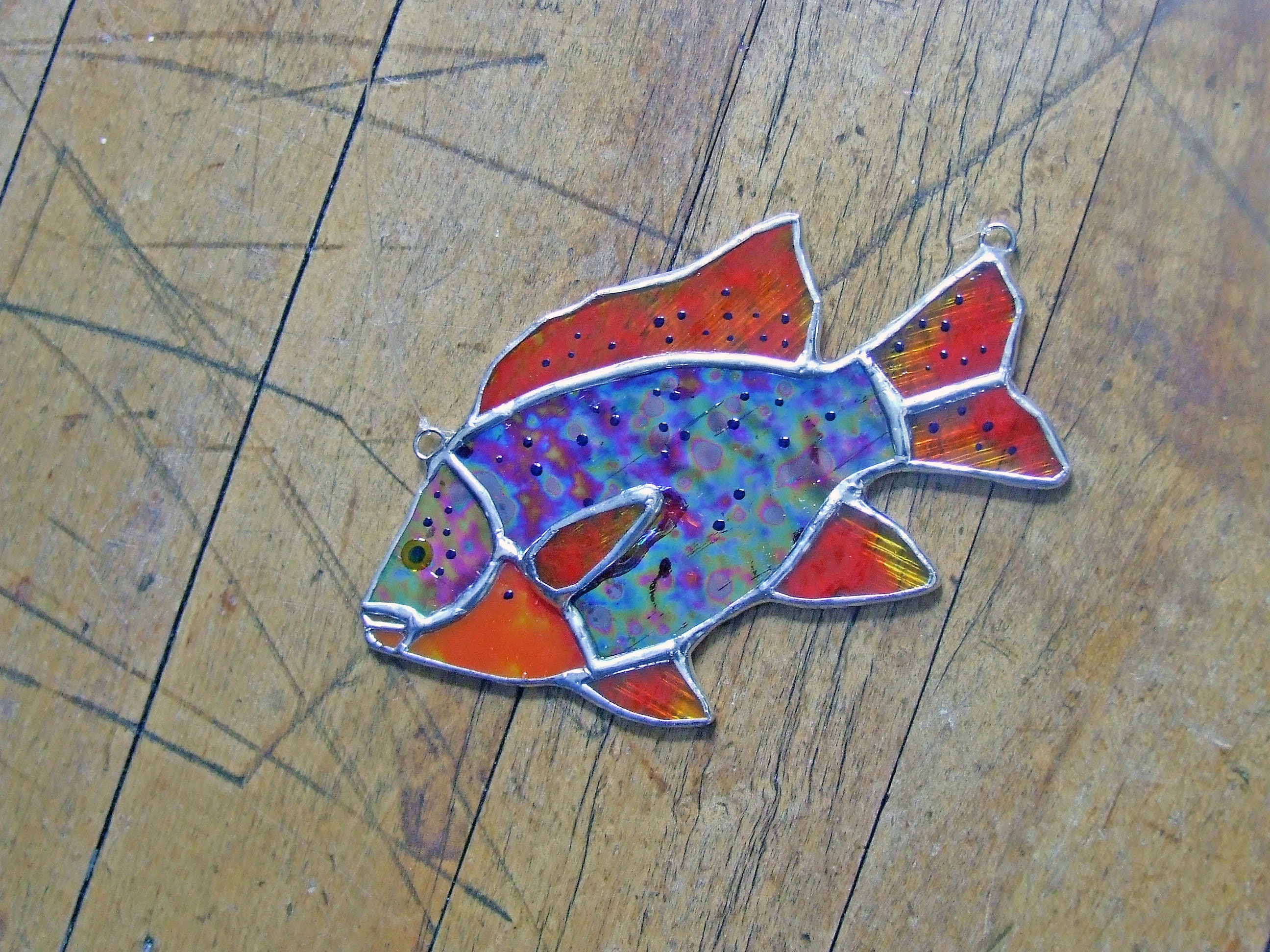 Stained Glass Garibaldi Fish Sun Catcher California State Fish Catalina ...