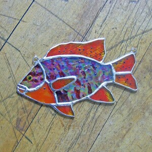 Stained Glass Garibaldi Fish Sun Catcher - California State Fish ...