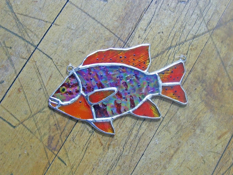 Stained Glass Garibaldi Fish Sun Catcher California State Fish Catalina ...