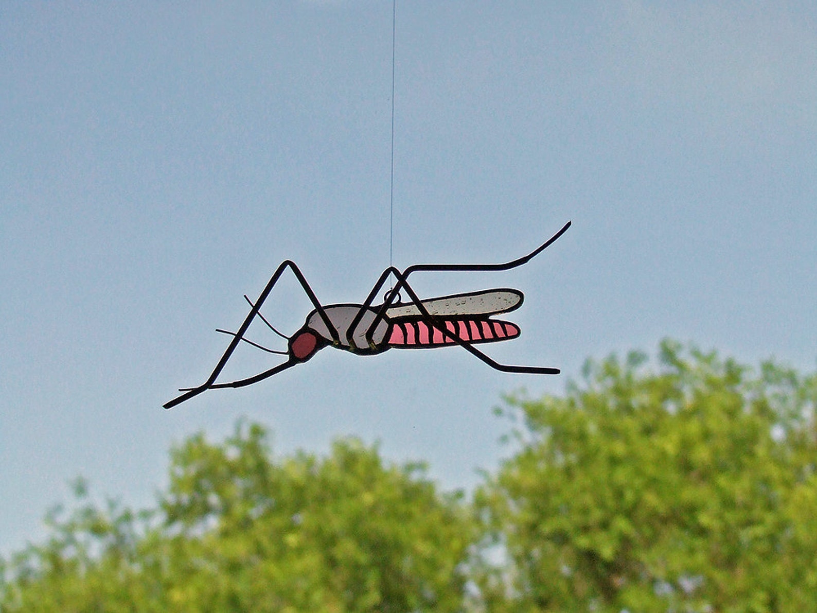 Stained Glass Insect - Antique Glass Mosquito - Unique Entomologist ...