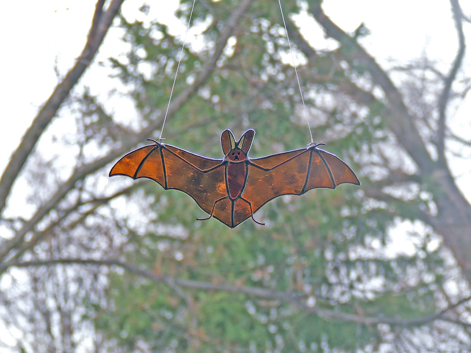 Stained Glass Sun Catcher Bat Madagascar Sucker-footed Bat myzopoda ...