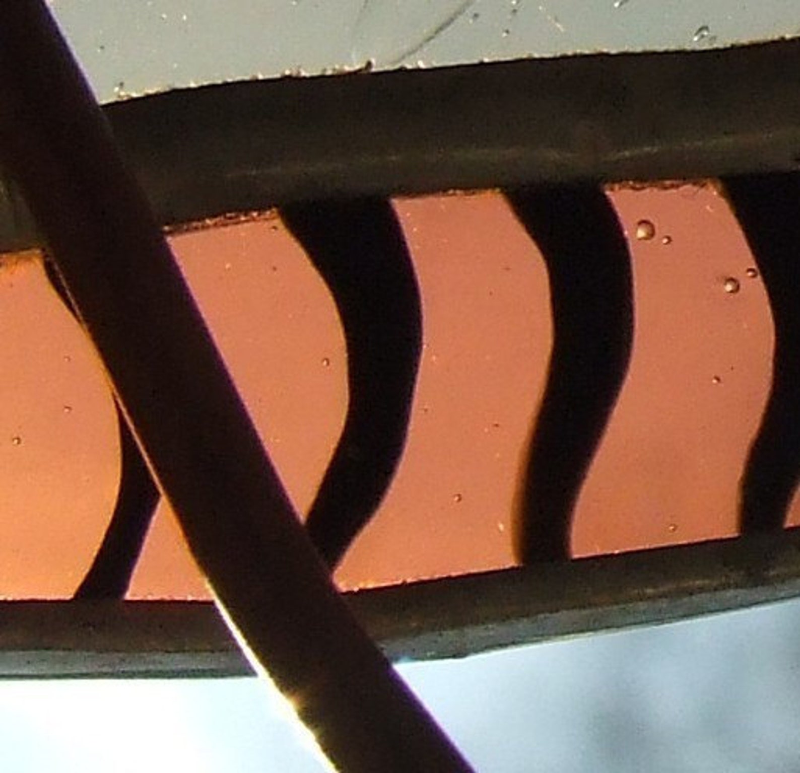 Stained Glass Insect - Antique Glass Mosquito - Unique Entomologist ...