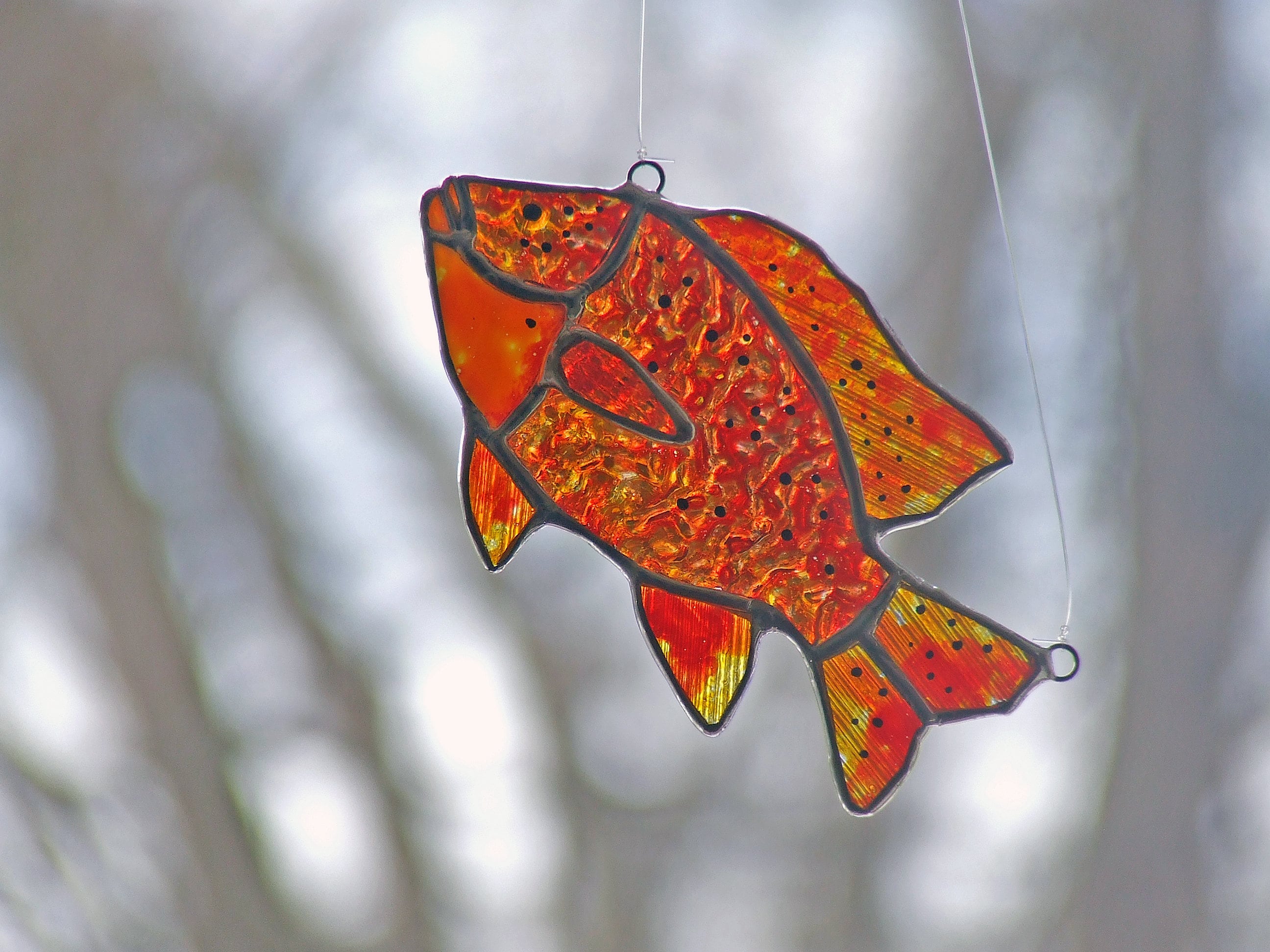 Stained Glass Garibaldi Fish Sun Catcher California State Fish Catalina ...