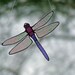 Stained Glass Purple Skimmer Sun Catcher Glass Libellula - Etsy