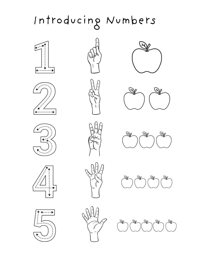 Learn to Count - Introducing Numbers Preschool Activity - Etsy