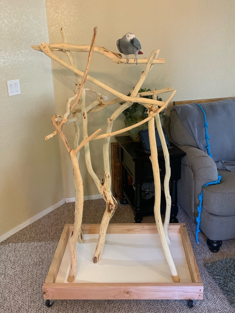 Parrot Stand Small Bird Perch Parrot Perches Bird Structures Handmade ...