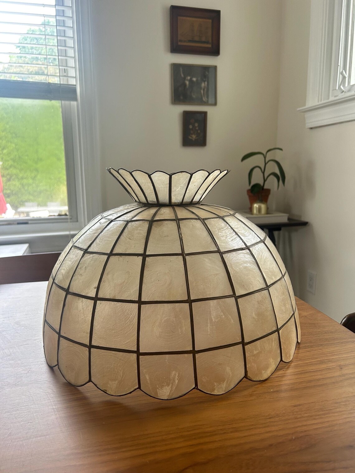 Capiz Shell Vintage Chandelier Shade / Large Lampshade - Etsy