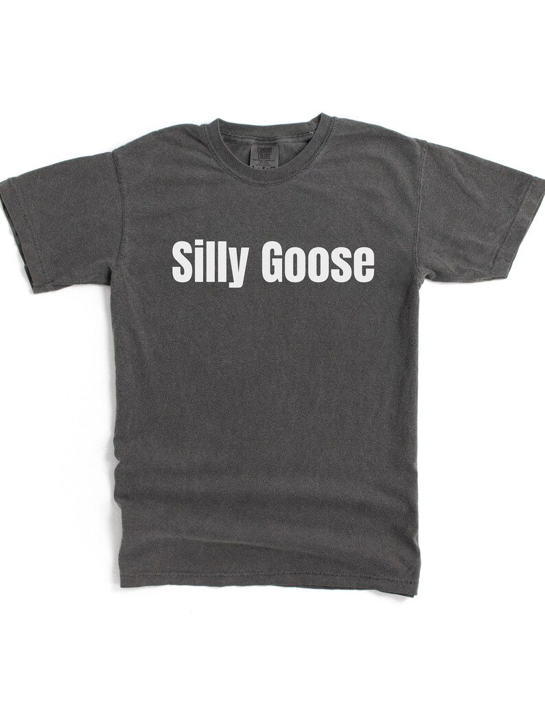 Funny Silly Goose Oversized T-shirt, Silly Term Joke Meme Loose Fit ...