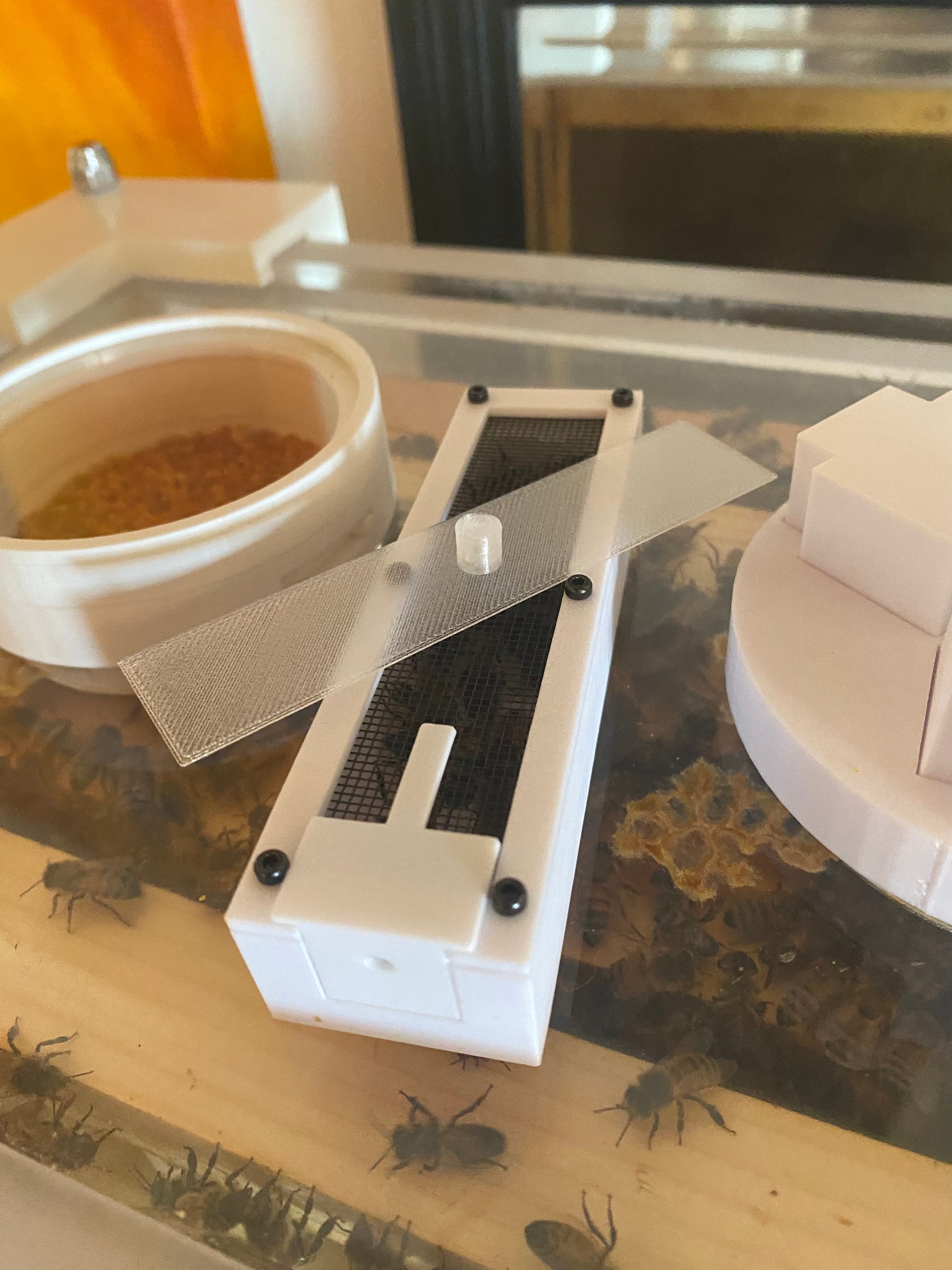 Large Apitherapy Bee Collection System for Beehives - Etsy