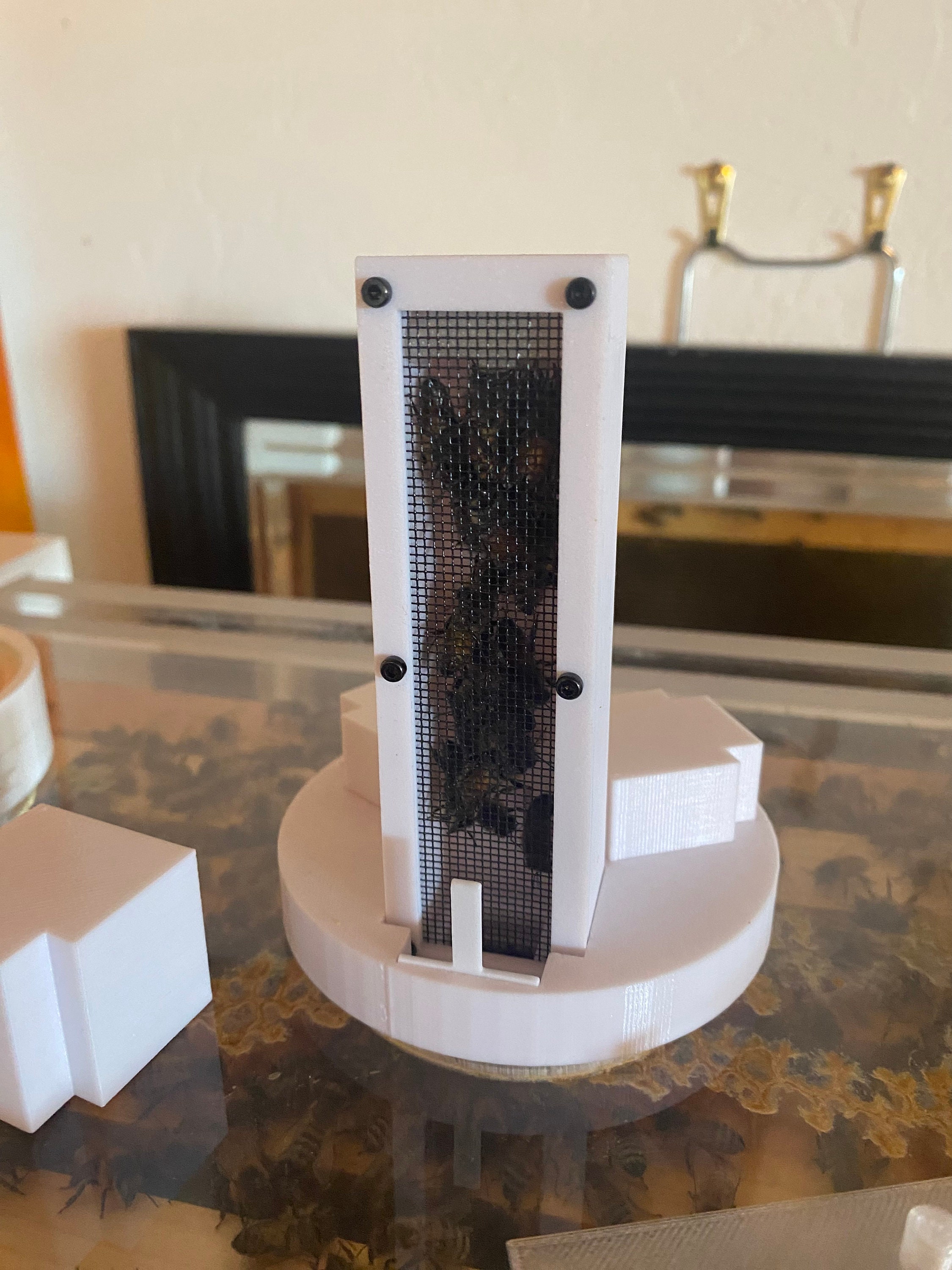 Large Apitherapy Bee Collection System for Beehives - Etsy