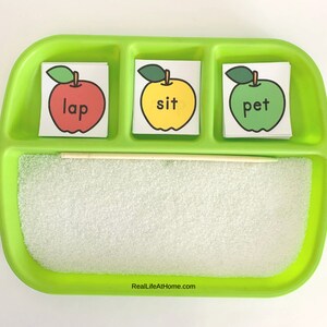 Printable 24 Apple CVC Word Cards for Preschool and Kindergarten ...