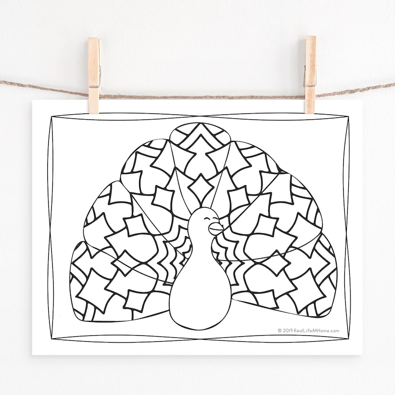 Turkey Coloring Pages Packet With 15 Intricate Designs for Coloring ...