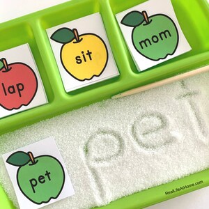 Printable 24 Apple CVC Word Cards for Preschool and Kindergarten ...