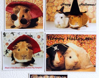 Guinea Pig Halloween - Etsy
