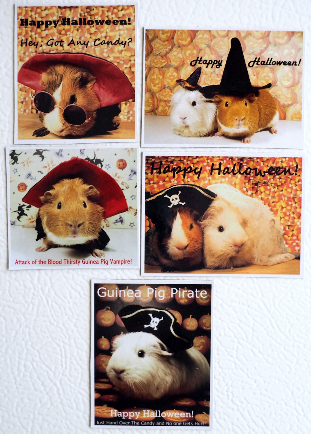 Attack of the Bloodthirsty GUINEA PIG VAMPIRE Halloween Magnet Set ...