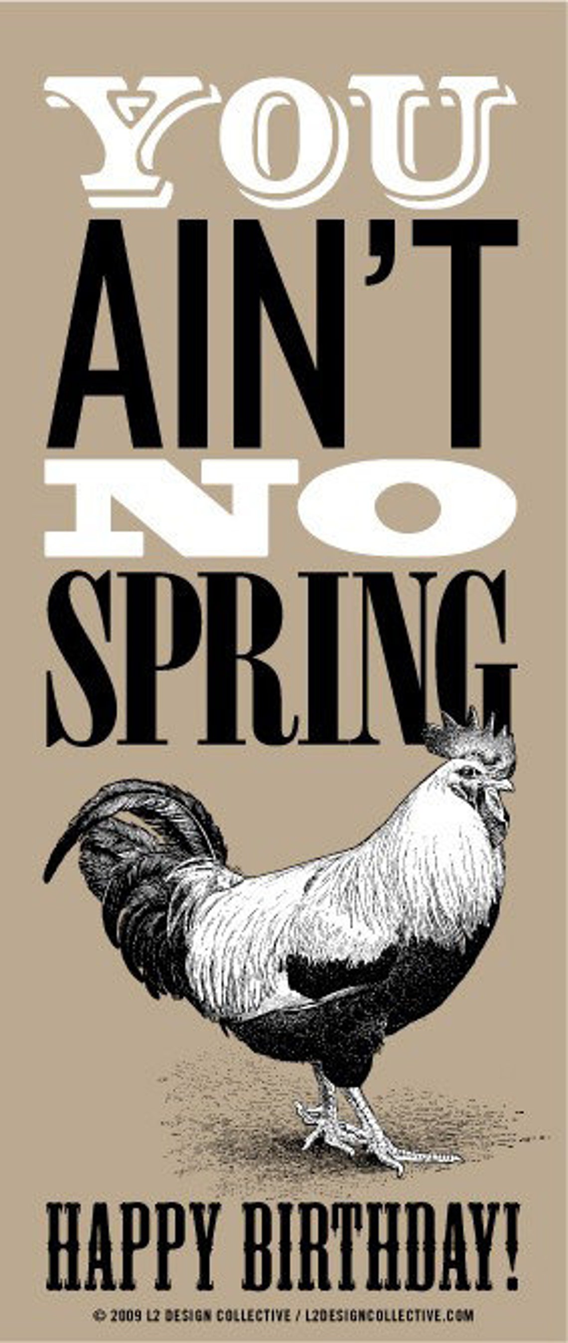 You Ain't No Spring Chicken CHI-01 Snarky Happy Birthday - Etsy