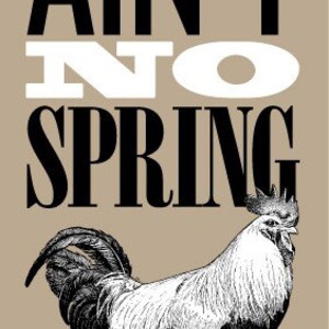 You Ain't No Spring Chicken CHI-01 Snarky Happy Birthday - Etsy