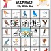 Birds Bingo Game Printable - 50 Cards | Fun Learning for Kids | Bird ...