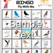 Birds Bingo Game Printable - 50 Cards | Fun Learning for Kids | Bird ...