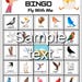 Birds Bingo Game Printable - 50 Cards | Fun Learning for Kids | Bird ...