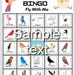 Birds Bingo Game Printable - 50 Cards | Fun Learning for Kids | Bird ...