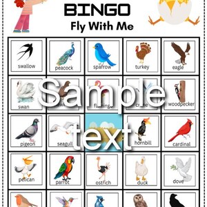 Birds Bingo Game Printable - 50 Cards | Fun Learning for Kids | Bird ...