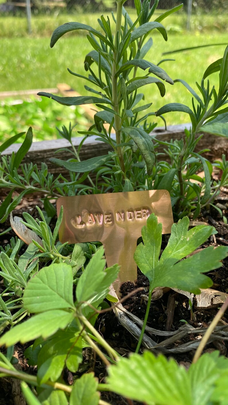 Custom Herb Garden Markers – Personalized Copper Plant Labels ...