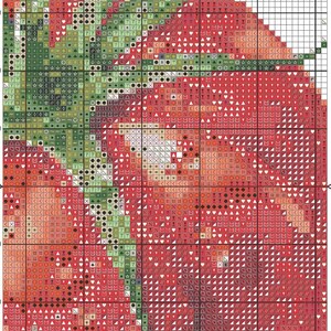 Cross Stitch Pattern Wall Art Tomato Fruits Etamine AI Poster - Digital ...