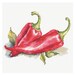 Cross Stitch Pattern Wall Art Capia Pepper Etamine AI Poster - Digital ...