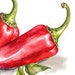 Cross Stitch Pattern Wall Art Capia Pepper Etamine AI Poster - Digital ...