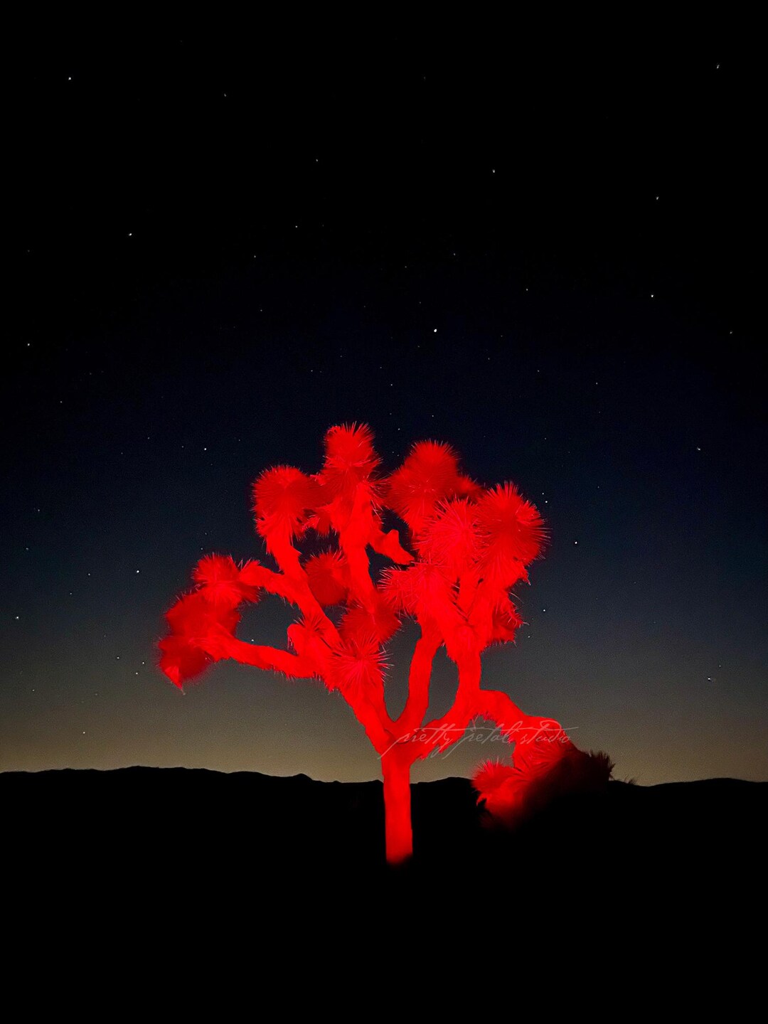 Red Joshua Tree Night Print: Desert Landscape Photography, Southwest ...